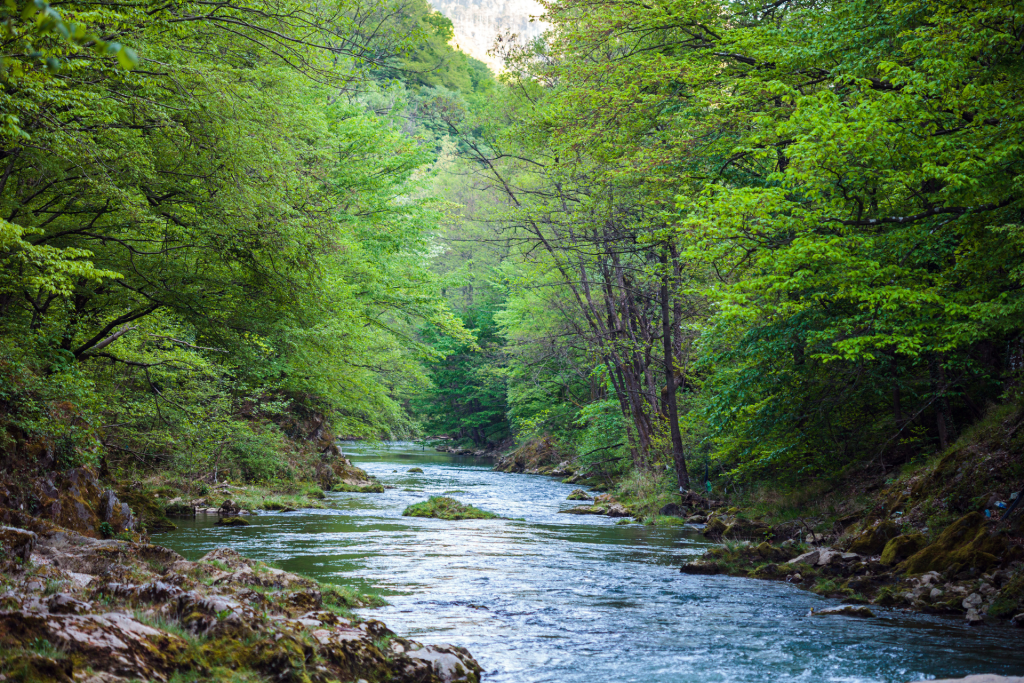 The River of Life: Living Joyfully in the Flow of Life - FISU Meditation