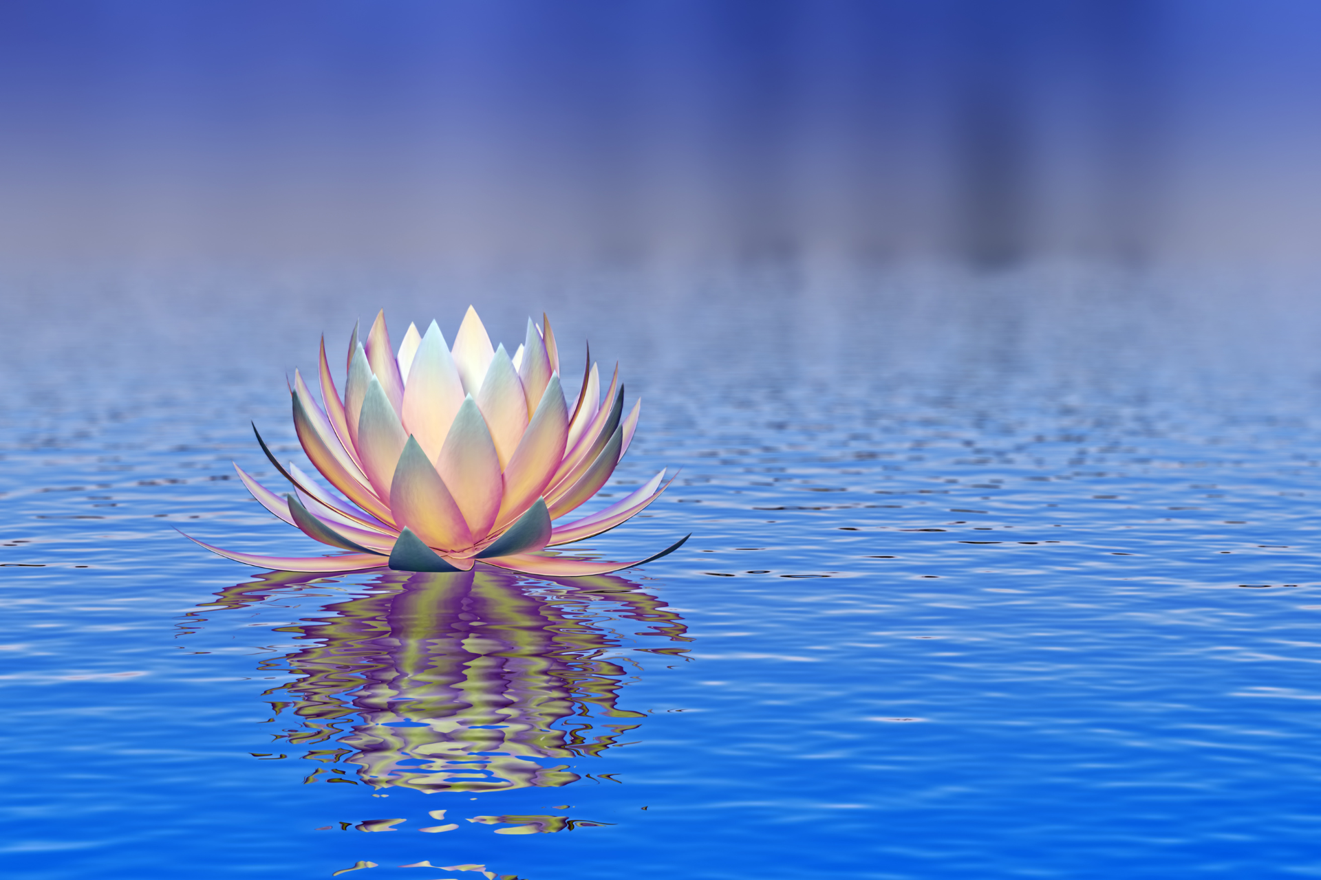 The How of Life: The Path of Pure Consciousness - FISU Meditation