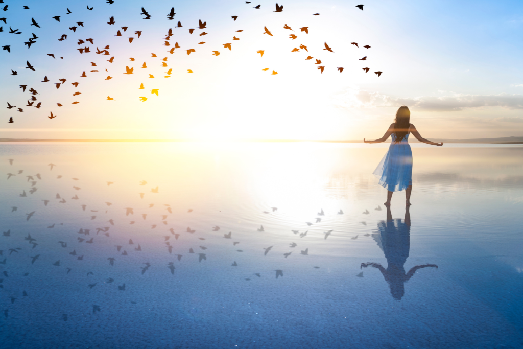 Boundless Within Boundaries: Unveiling the Journey to Liberation - FISU ...